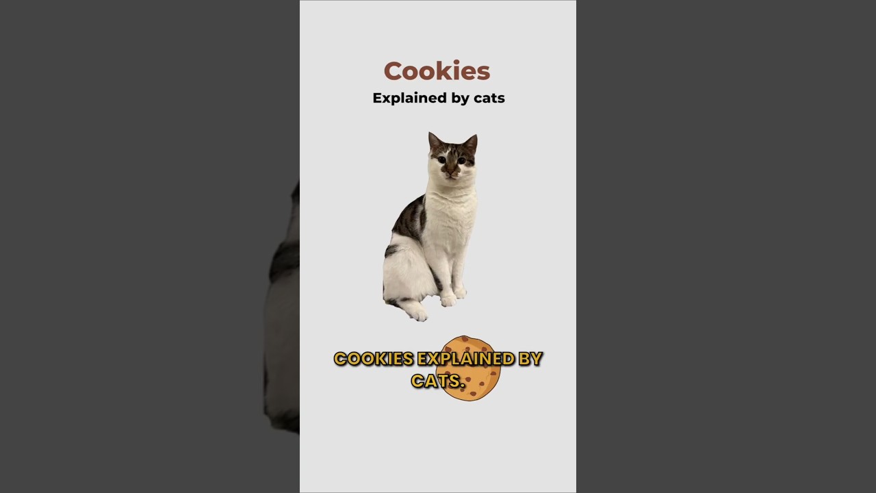Cookies, explained by cats 🐱🍪. #cat #cookies #software #developer #coding