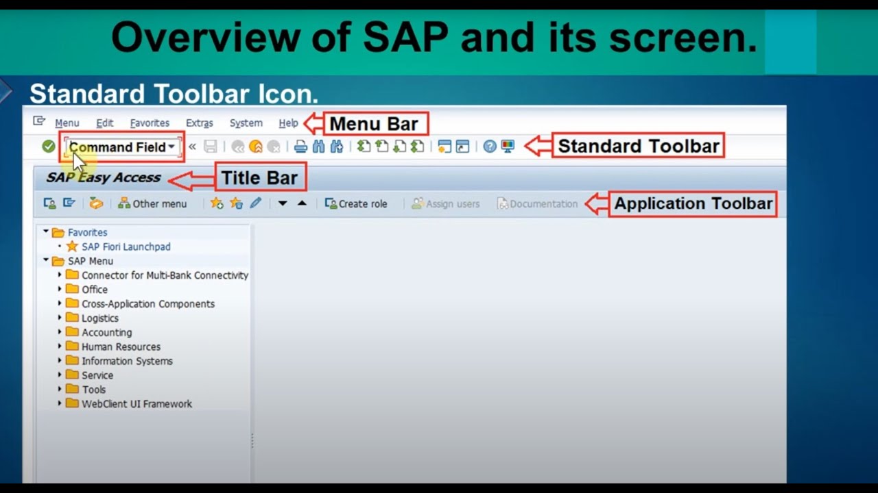 01) SAP Screen Navigation.