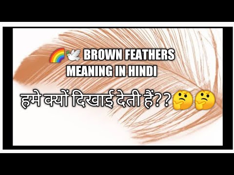 #brown#Feathers#🕊️ Brown Feathers meaning in Hindi kya aapko bhi grey feathers dikhai deta hai ??🕊️💞