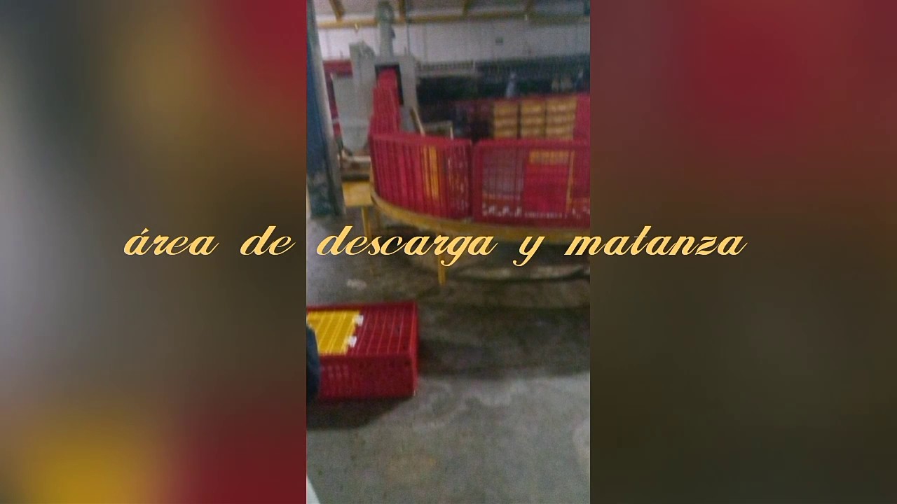 Rastro de aves 