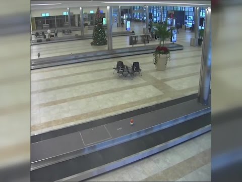 Coyote Caught In Myrtle Beach Airport
