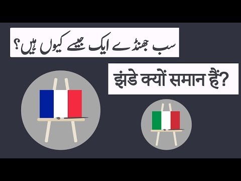 Why All Flags Are Similar? |Hindi-Urdu|Wisdom Unfolded