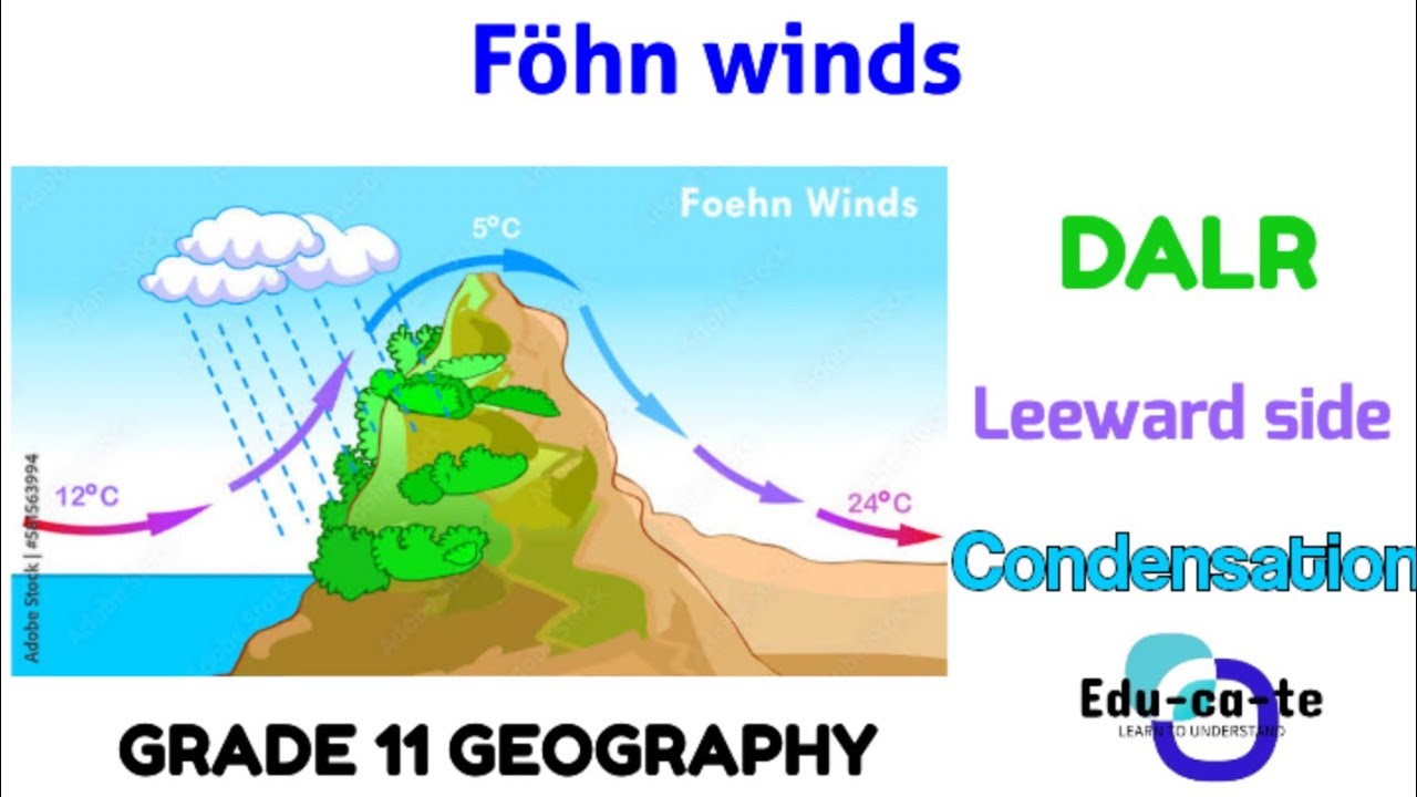 Fohn Winds grade 11