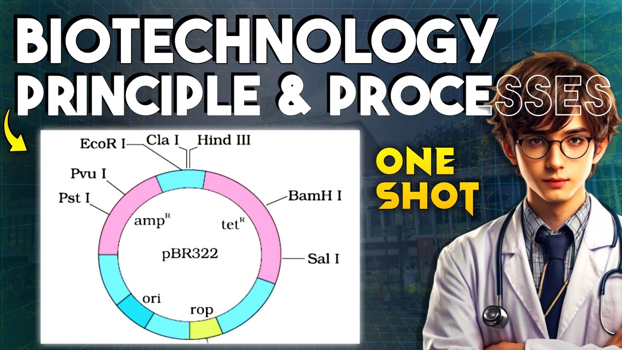 Understanding Biotechnology Principles and Processes: A Comprehensive ...