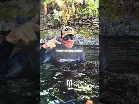 This Man Explains Why The Alligator Doesn't Attack Him 😳