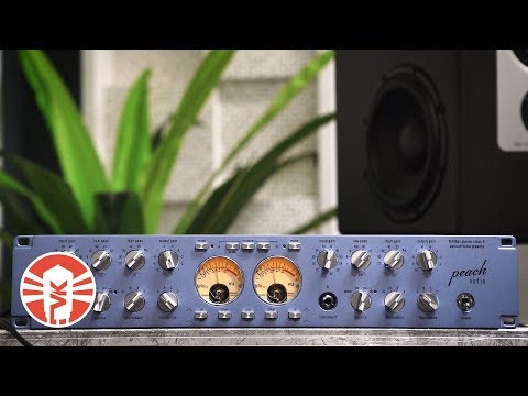 Peach Audio Savannah m196sx 2000's | Reverb