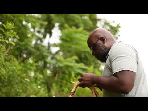 Homegrown Foodways in West Virginia: Foraging and Relations with Jonathan Hall