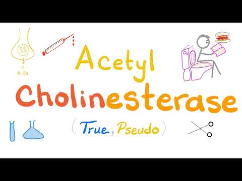 Acetylcholinesterase Enzyme Plasma Level | Lab 🧪 | Anesthesiology 😷
