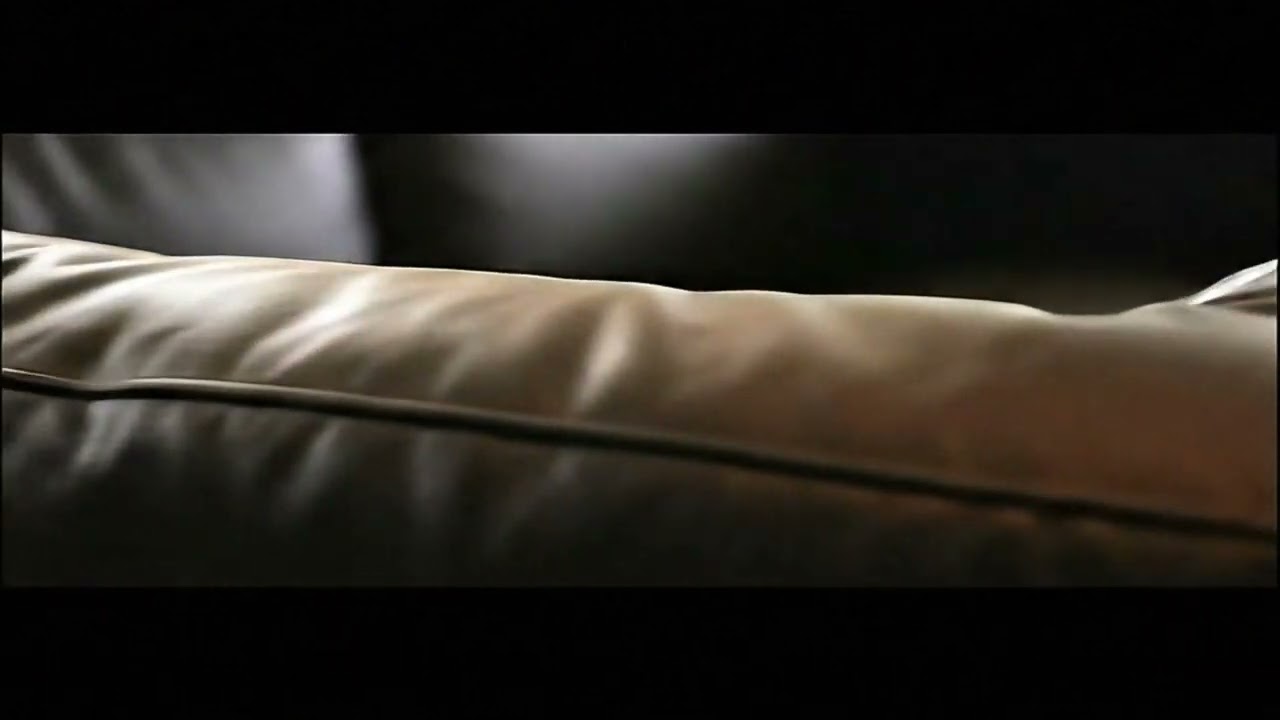Le Corbusier LC3 Style Sofa