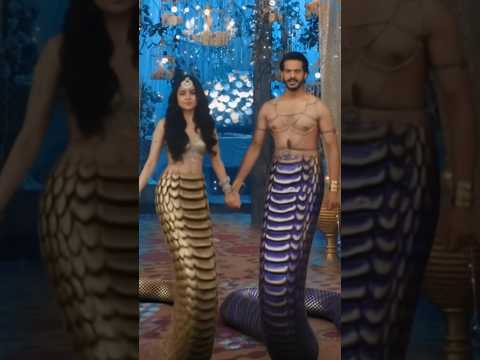 Nagin 6 pratha🐍🙏 and raghu dance #subscribe #naagin #viralshorts #shorts #trending