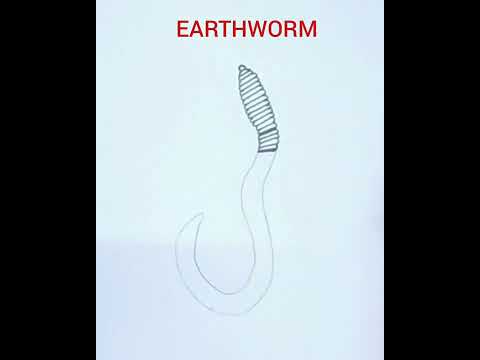 How to draw an earthworm easily/#earthwormdrawing