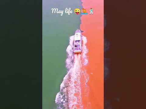 Mr Deepak Royal life and ||Go Down π₯°π―π #shorts #godowndeh #tiktok
