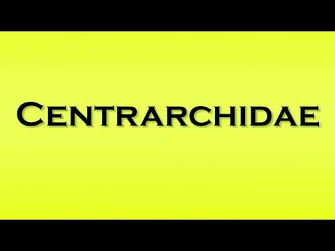 Pronunciation of Centrarchidae