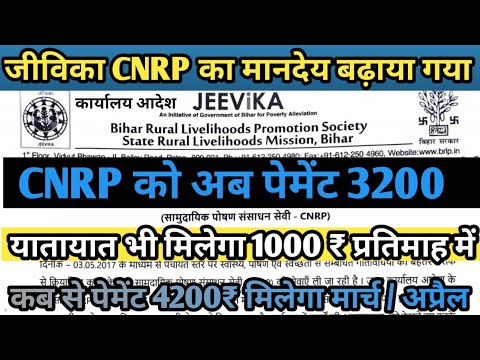 CNRP को पेमेंट 4200₹ कब से मिलेगा मार्च या अप्रैल jeevika cnrp new policy 2025 office order