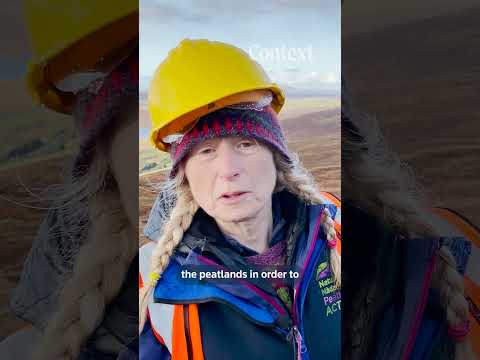 Why peatlands are a climate superpower