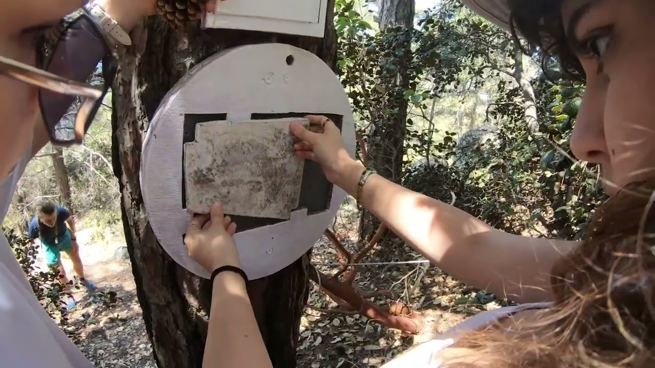 Mediazone Outing 2025