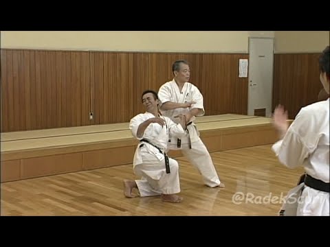 Seienchin _ secret techniques (English translation)_ Yoshio Kuba_ Goju ryu Karate