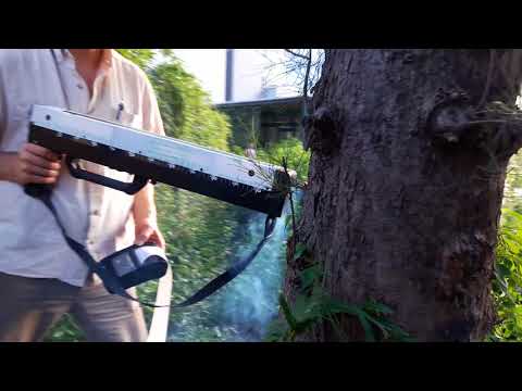 Rinntech Resistograph R650 Model Drilling High Density Tropical Tree