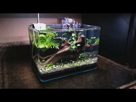 Mini Aquarium - Wholesale Price & Mandi Rate for Mini Fish Tank in India