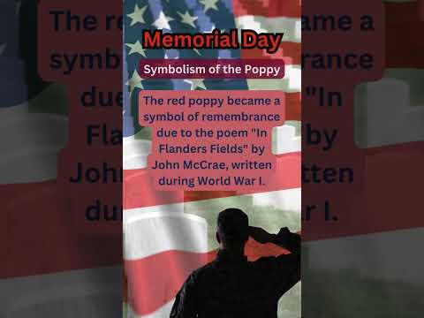 Memorial Day: Symbolism of the Poppy #memorialday #history #shorts