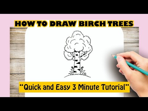How to Draw a Birch Tree Step by Step – I'm Youtuber – Follow my videos ...