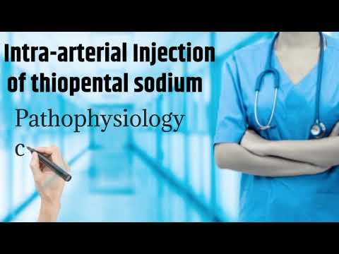 Thiopental Sodium Injections - Sodium Thiopental Latest Price ...