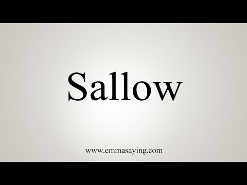 How To Say Sallow