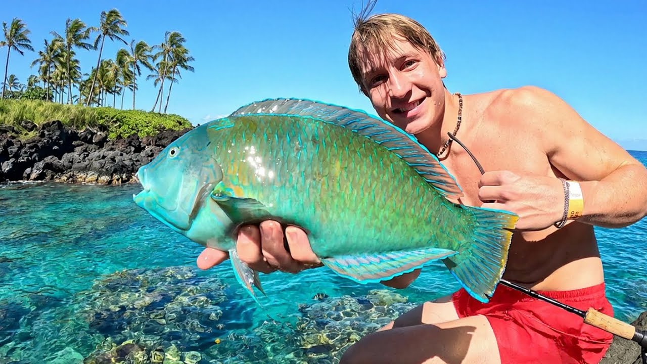 6 Days on a Tropical Island - Fishing & Snorkeling Coral Reefs