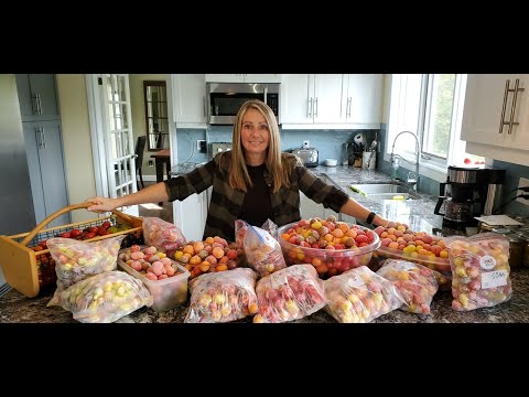 How to make Tomato Sauce from FROZEN Garden Tomatoes