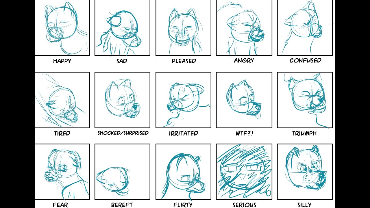 25 Essential Expressions challenge with Senka