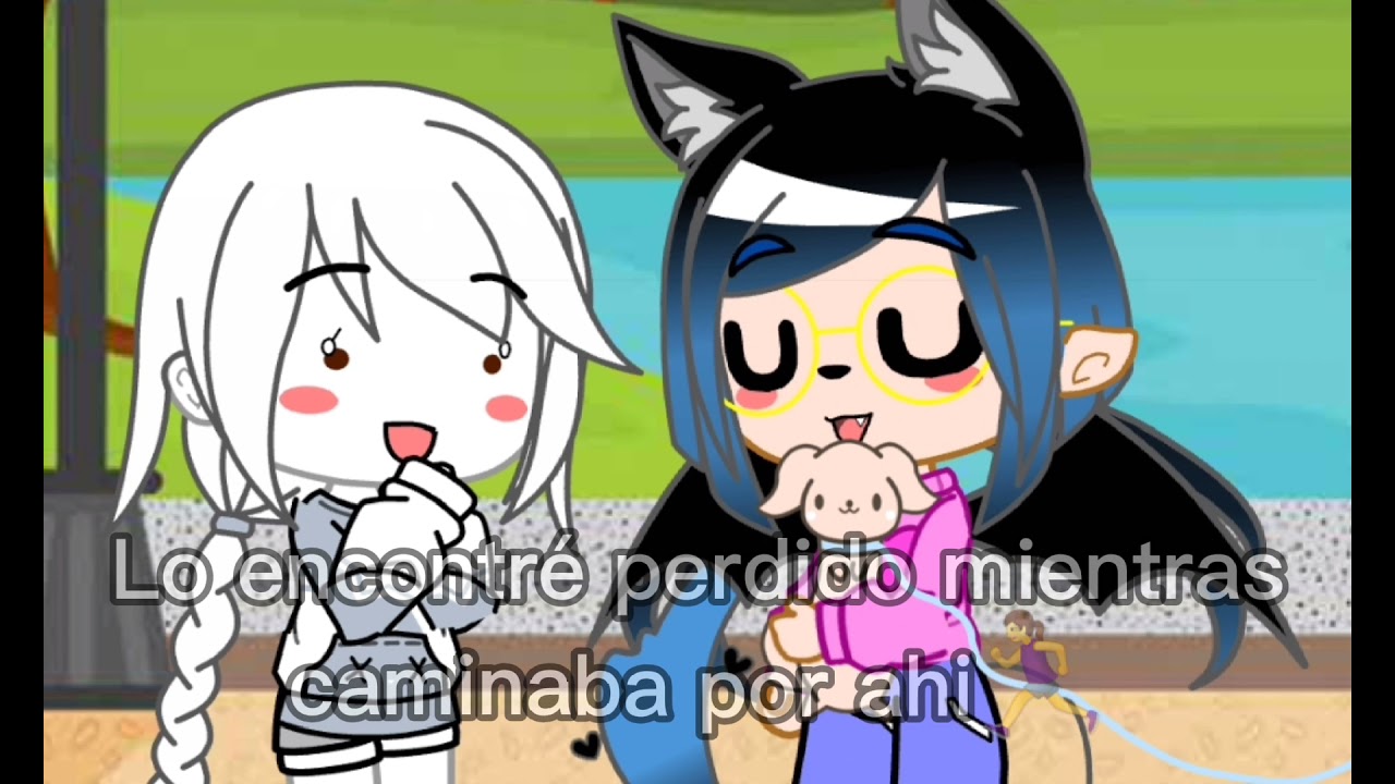 Que lindo perro/meme