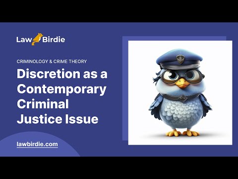 Discretion as a Contemporary Criminal Justice Issue - Essay Example