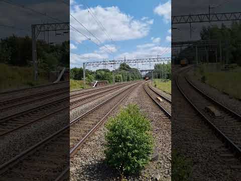 BR class 40013 0Z25 Sheringham (NNR) - Crewe HS passing Rugeley TV #railway #trains #wcml #class40
