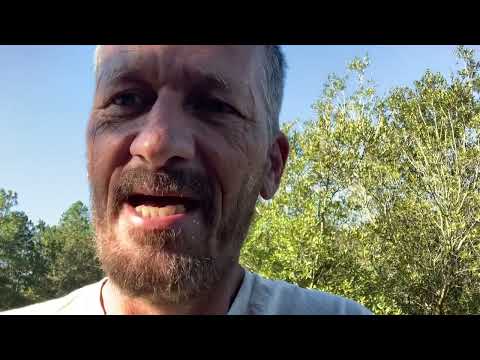 Beaches That Are Illegal To Metal Detect|Beaches That Band Metal Detecting