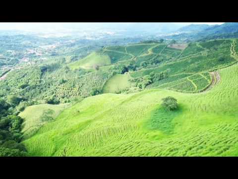 Piedra Zopilota, Altos de Naranjo, Atenas-Santiago Palmares