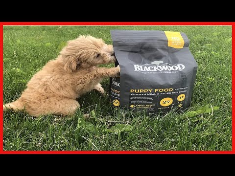 Blackwood Pet Food Puppy Dry Dog Food Growth Diet [Natural Dog Food For All Breeds and Sizes
