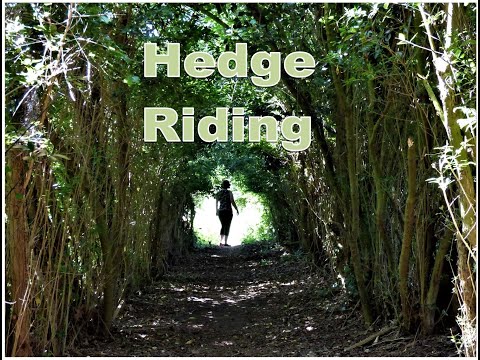 New Video: Hedge Riding – Down the Forest Path
