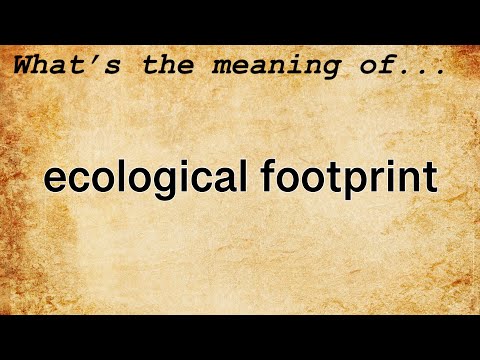 Ecological Footprint Meaning : Definition of Ecological Footprint