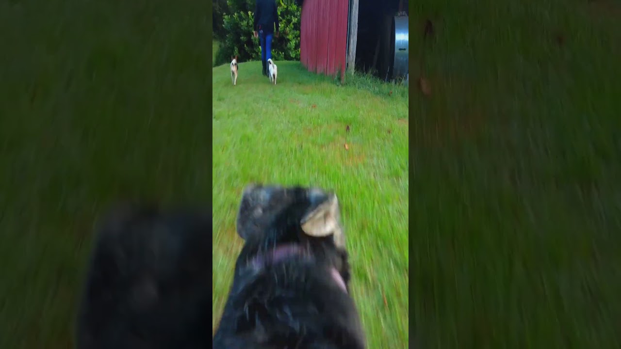 Passed at the final second.