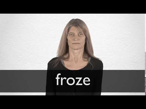 FROZE definition and meaning | Collins English Dictionary