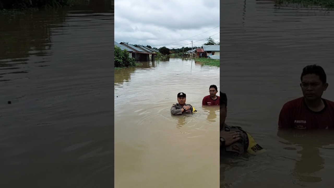LAPORAN KOMANDAN BHABINKAMTIBMAS  #polisi