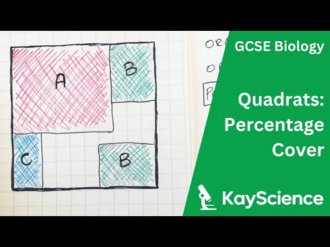 Calculating Percentage Cover & Quadrats - GCSE Biology (9-1) | kayscience.com