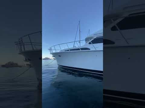 Brand New Mikelson 43’
