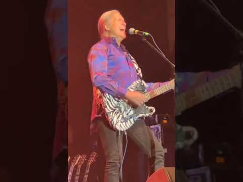 Jim Cat Telecaster 2022 Zebra | Reverb