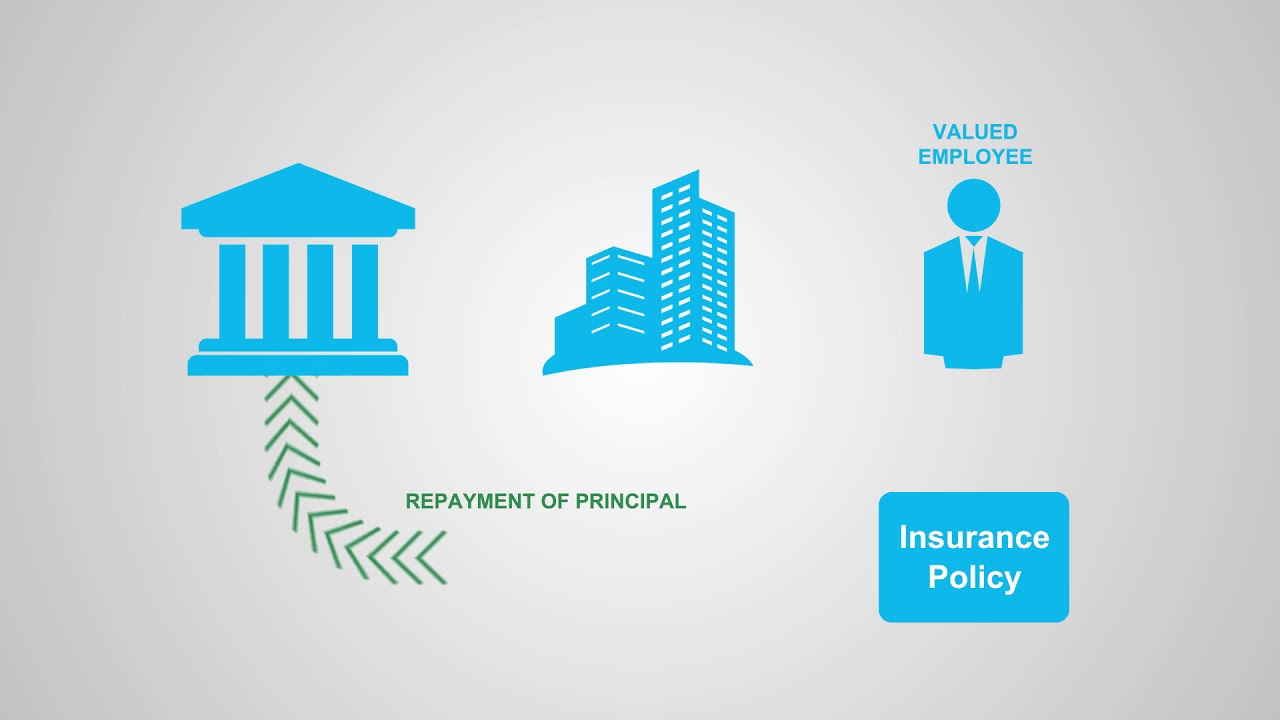 iWealth   Animation of Qualified Plan Alternative