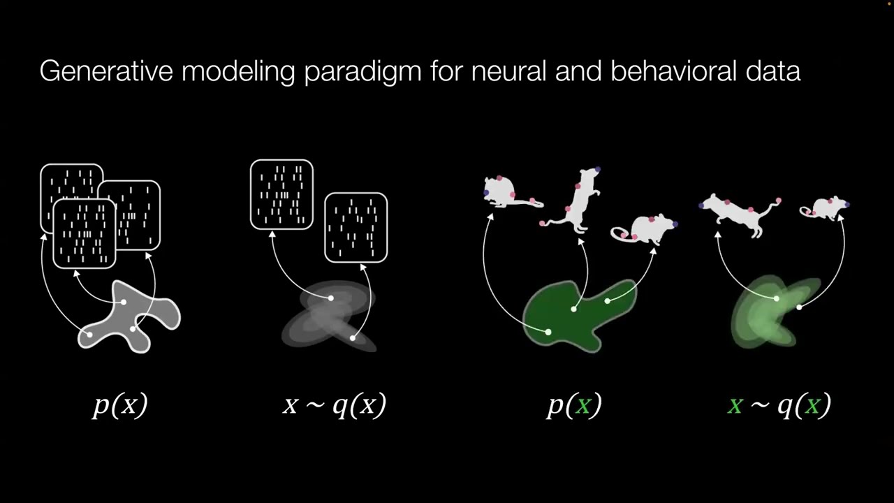 Deep generative models for neural spiking activity and behavior | Auguste Schulz | NeuroFM Workshop