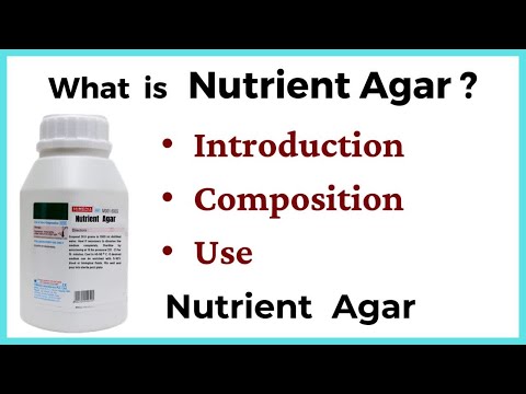 what is nutirent agar | Nutrient agar microbiology
