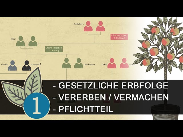 Erbrecht leicht gemacht - Unsere Tutorial-Serie mit einfachen Erklärvideos