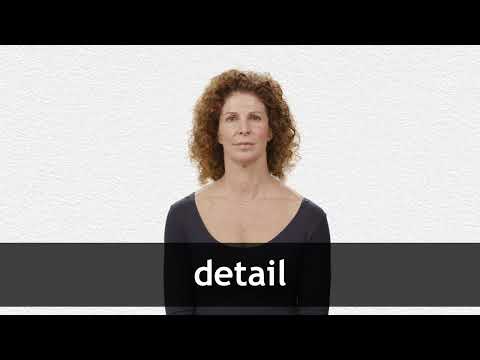 DETAIL - Definition & Translations | Collins English Dictionary