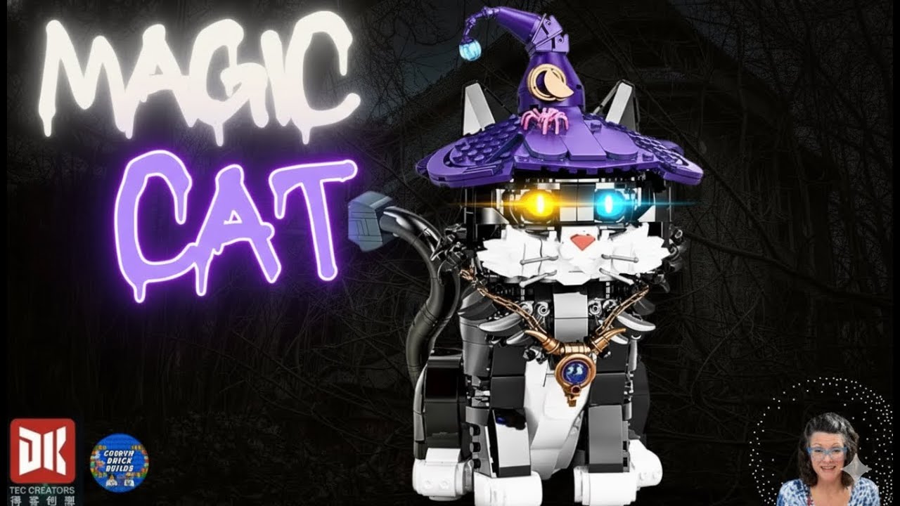 Building a Magic Cat